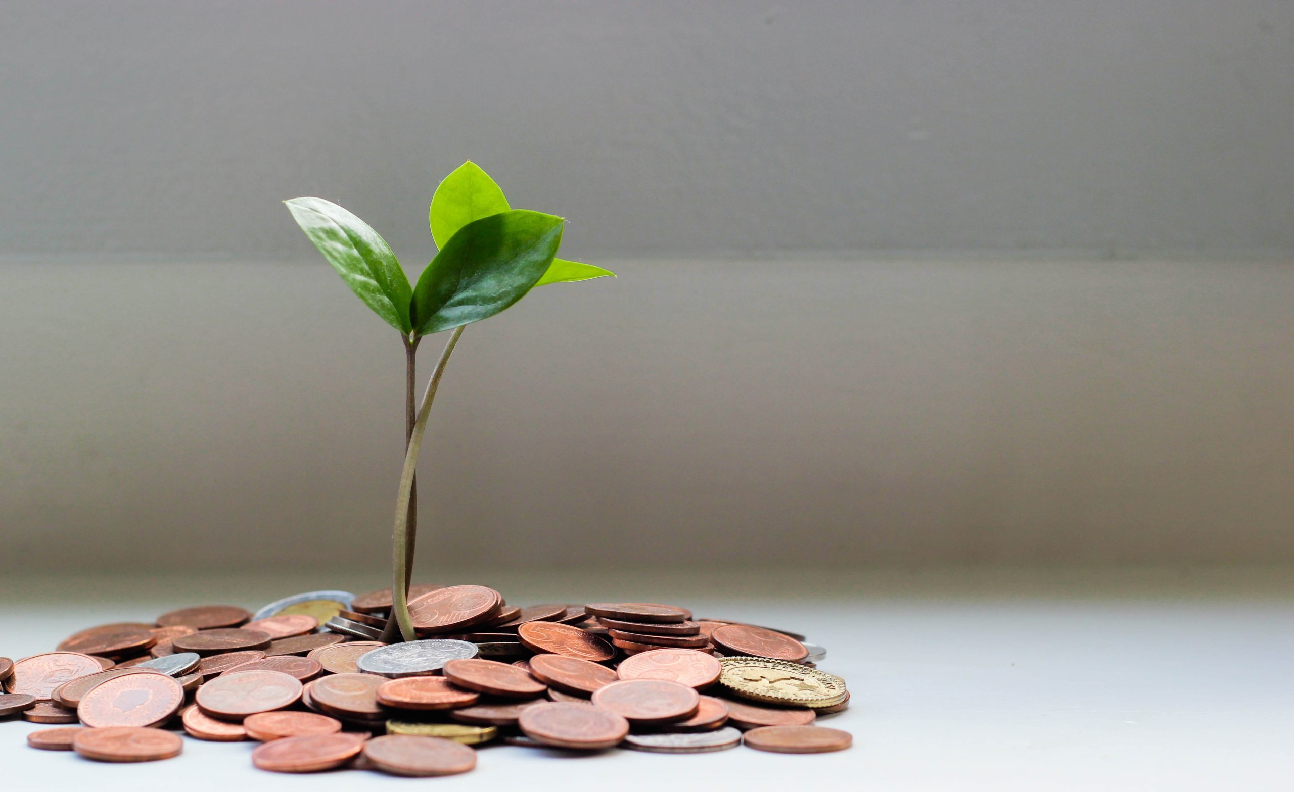 Insights – Curzon Consulting